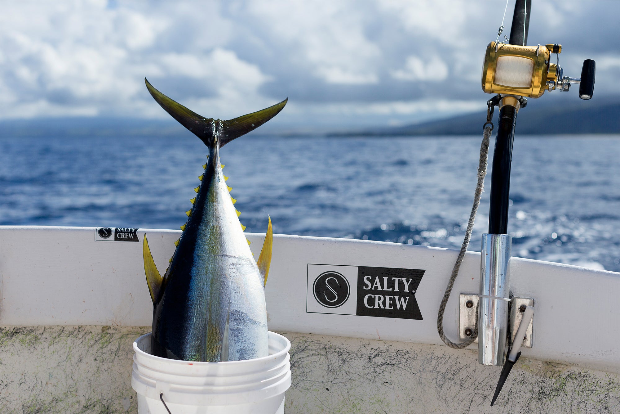 Our Story – Salty Crew