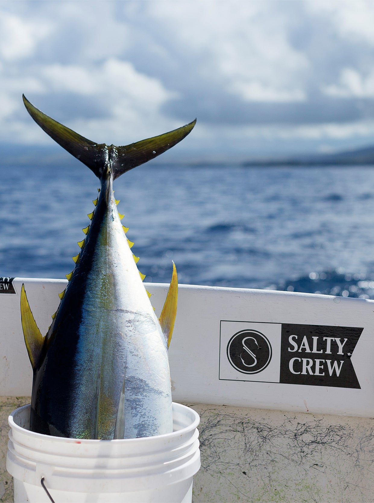 Our Story – Salty Crew